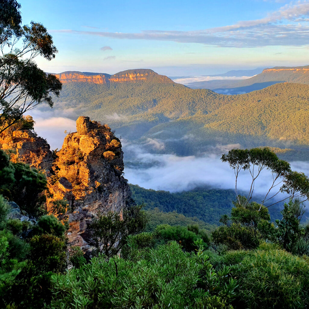 Blue Mountain Tour - One Day Hire